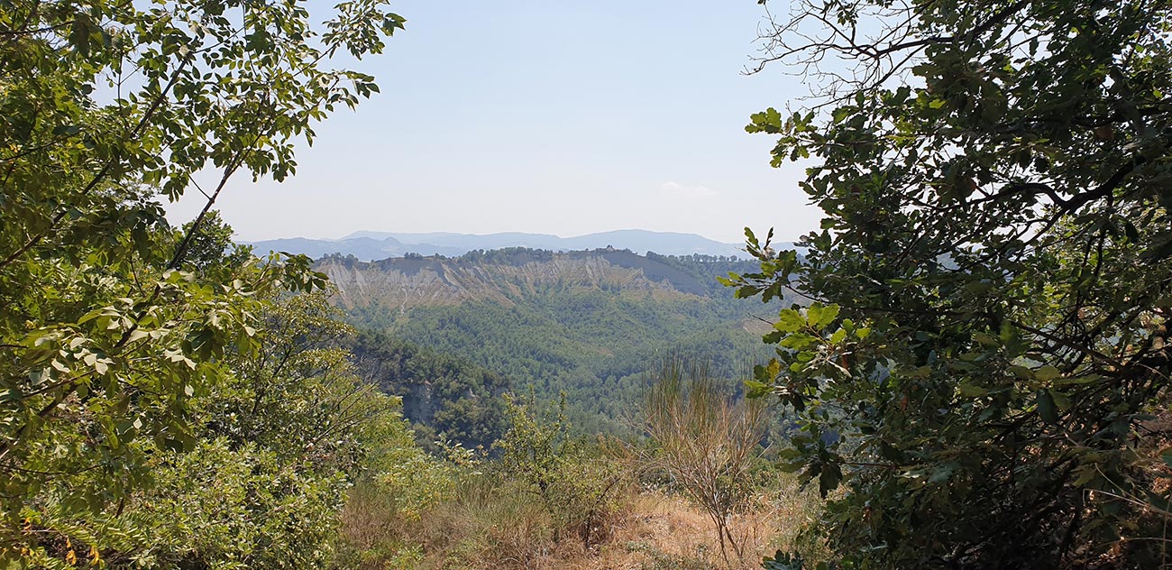 Trekking + aperitivo wild a Montebabbio - Aura senza elle